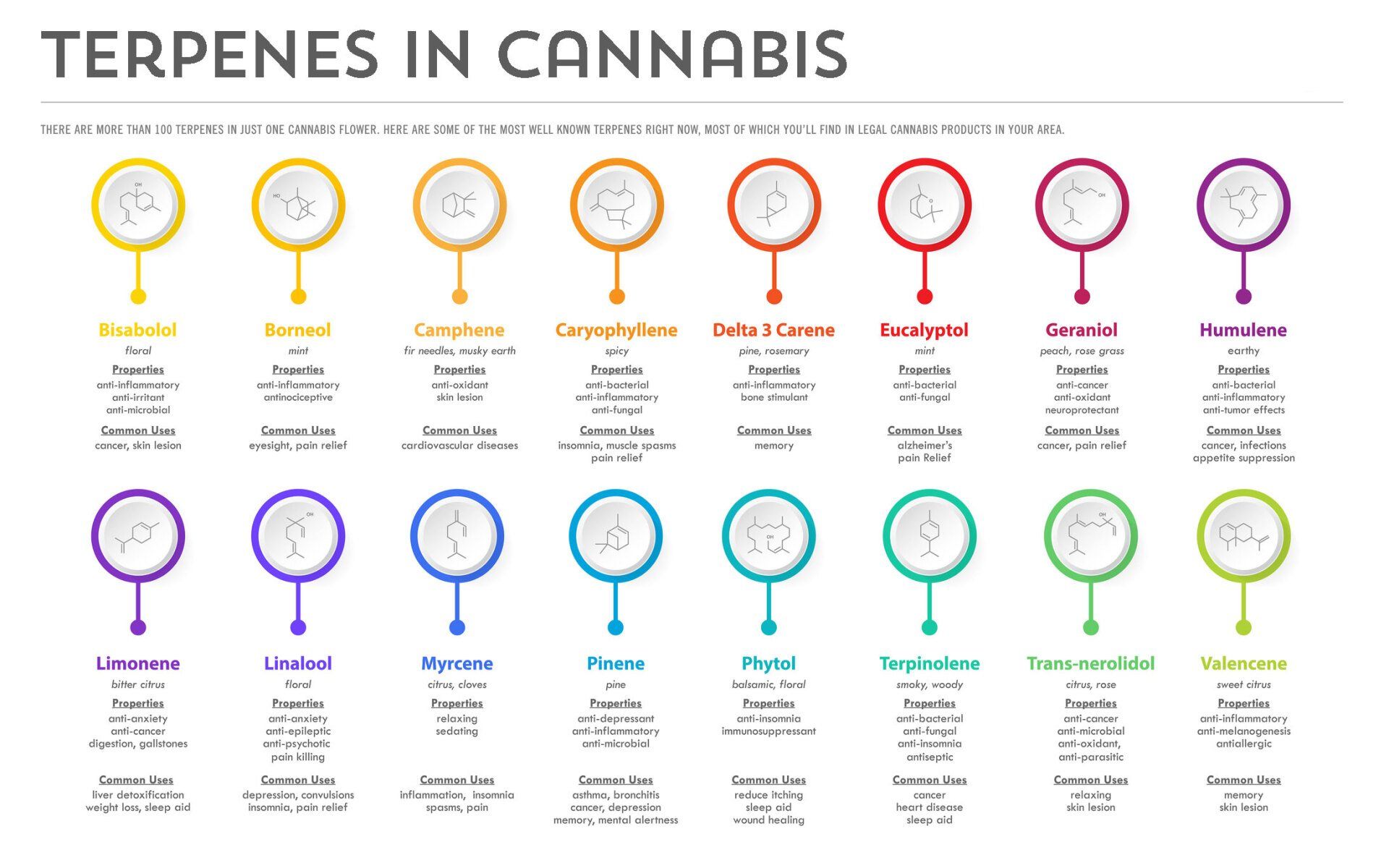 Terpenes What Are They Terpenes What Are They