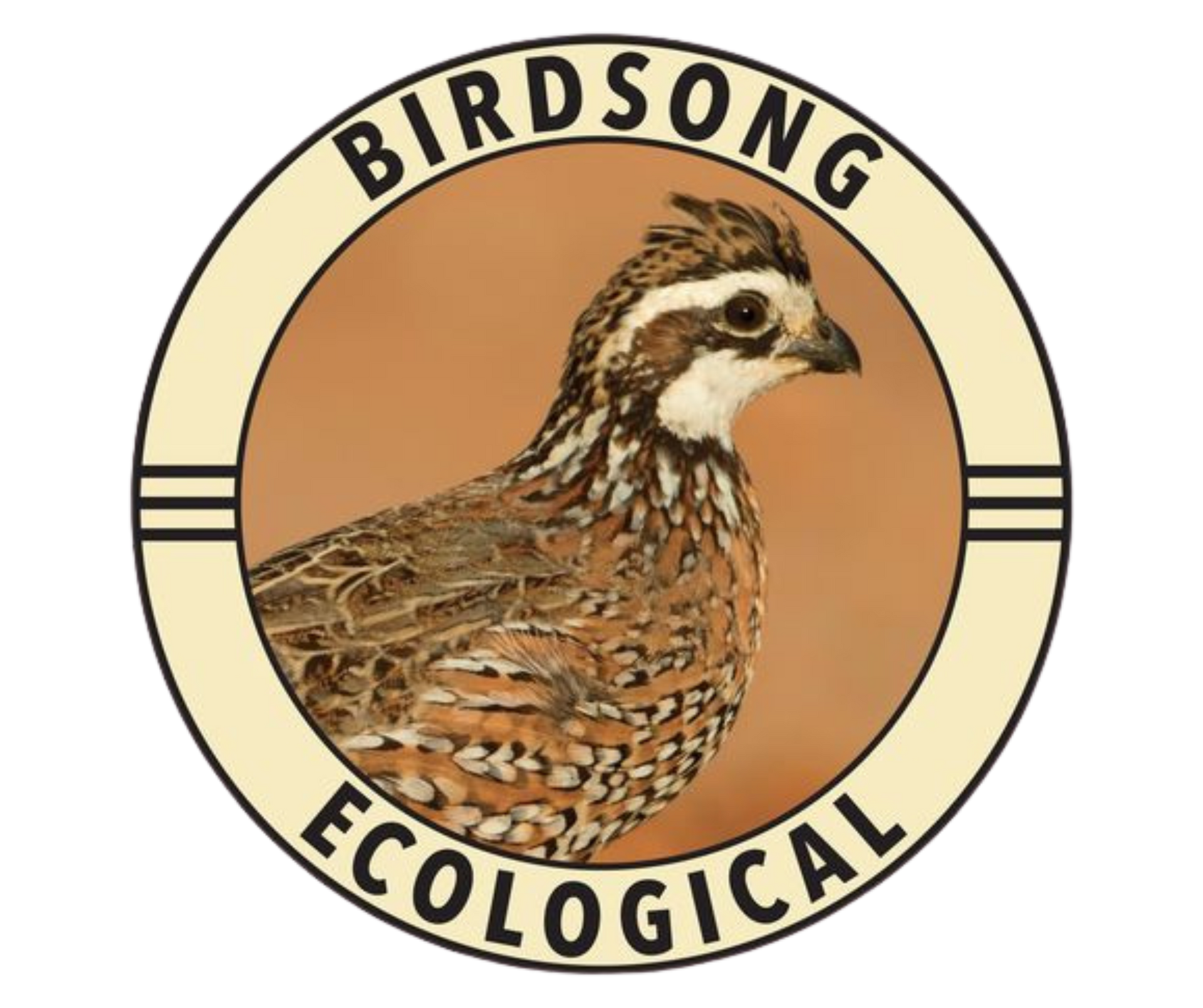 Native Land Management | Birdsong Ecological | MO