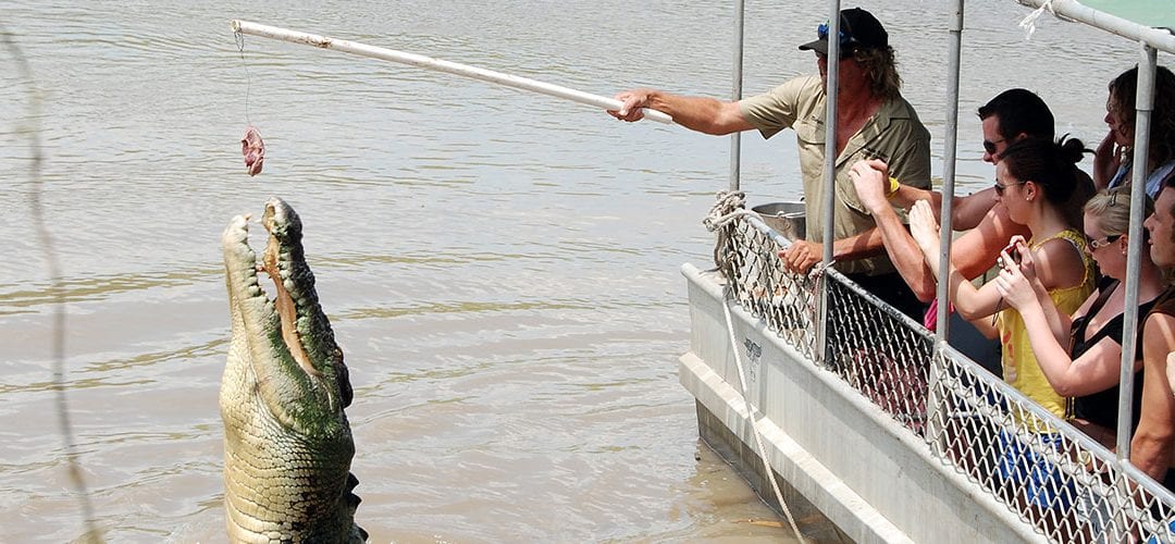 Adelaide River Croc Cruises | Darwin Jumping Crocodiles