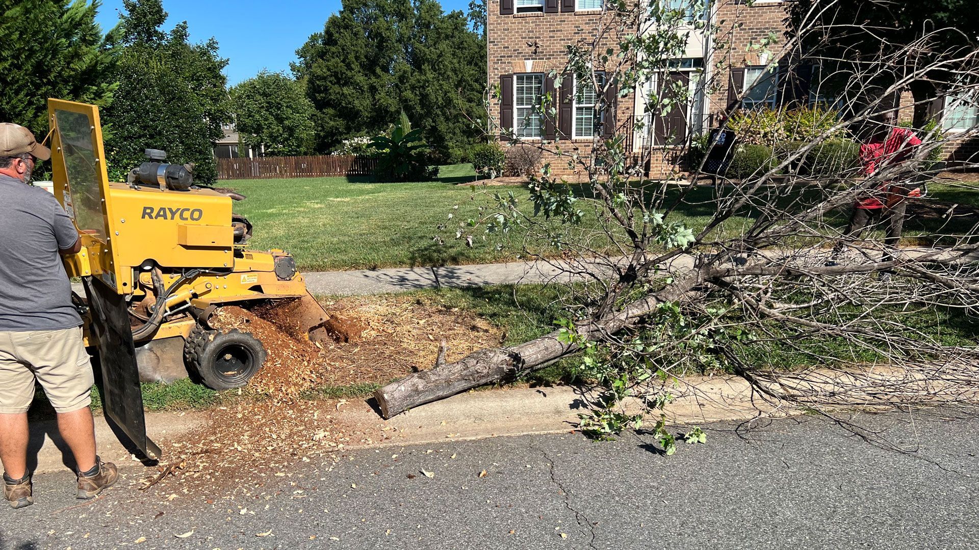 Tree Services | Charlotte, NC | E. Trunk Tree & Landscape