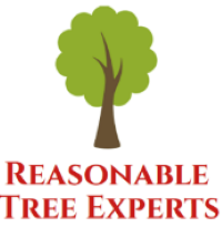 Tree Removal & Tree Trimming Services | Crest Hill, IL | 60403 | Chicago