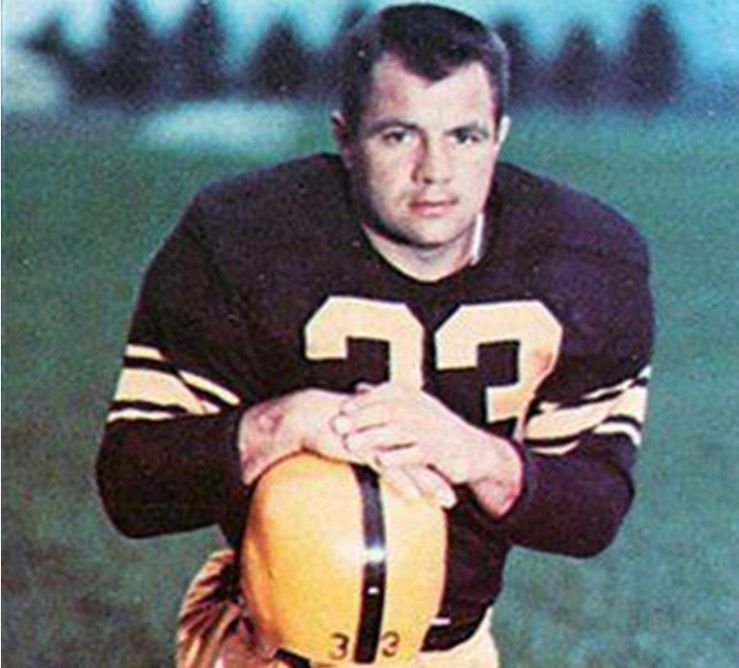 Hi Diddle Diddle - the Story of Fran Rogel