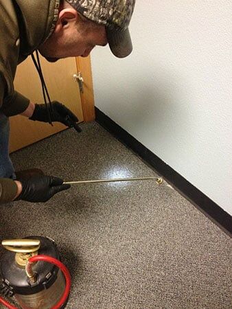 Pictures | Bellingham, WA | Environmental Pest Control