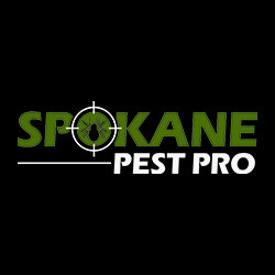 Pest Control Services | Spokane Pest Pro | Spokane, WA