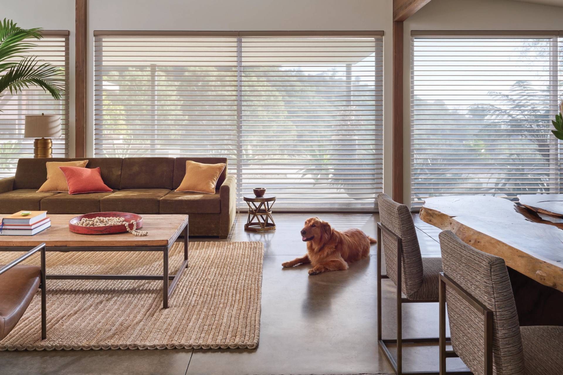 Motorize Shades with PowerView® Automation | Supershade South