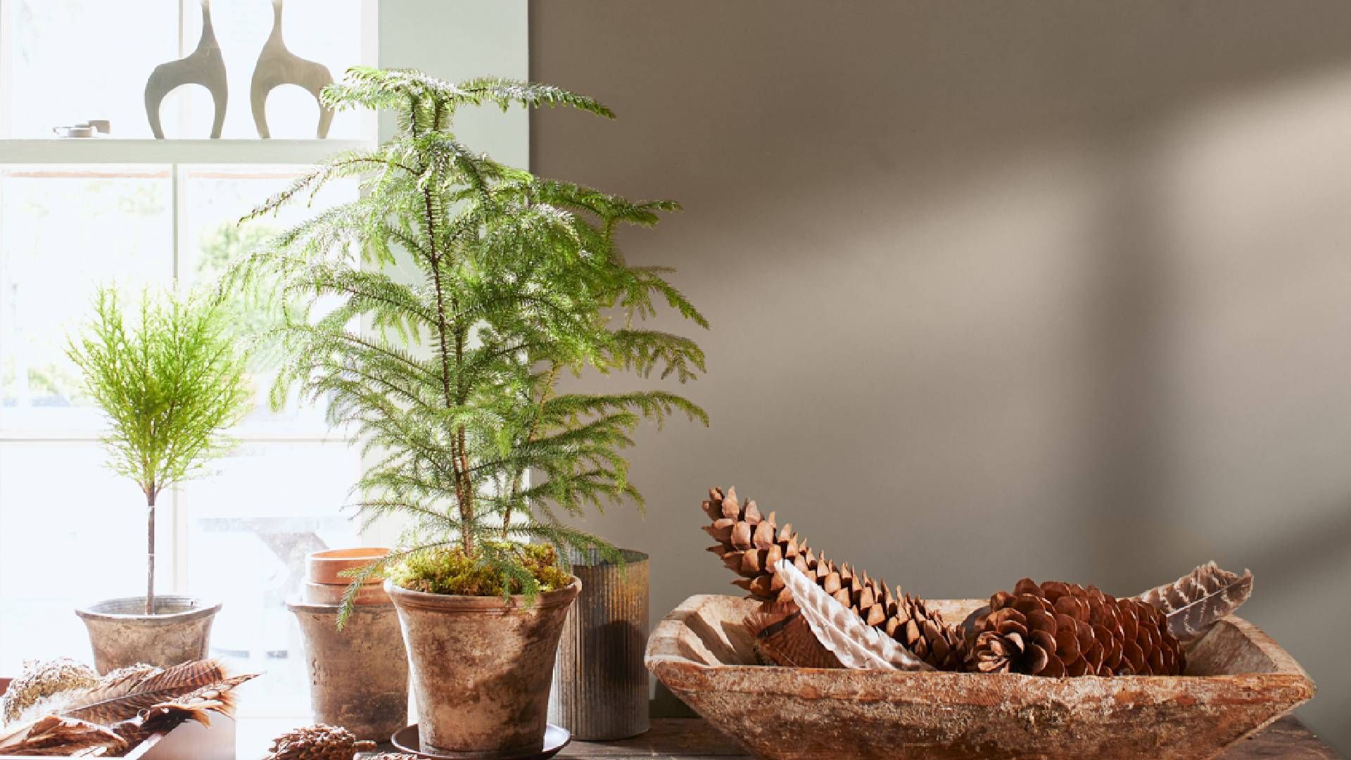 Fall Favorite Benjamin Moore Paint Colors | Supershade South