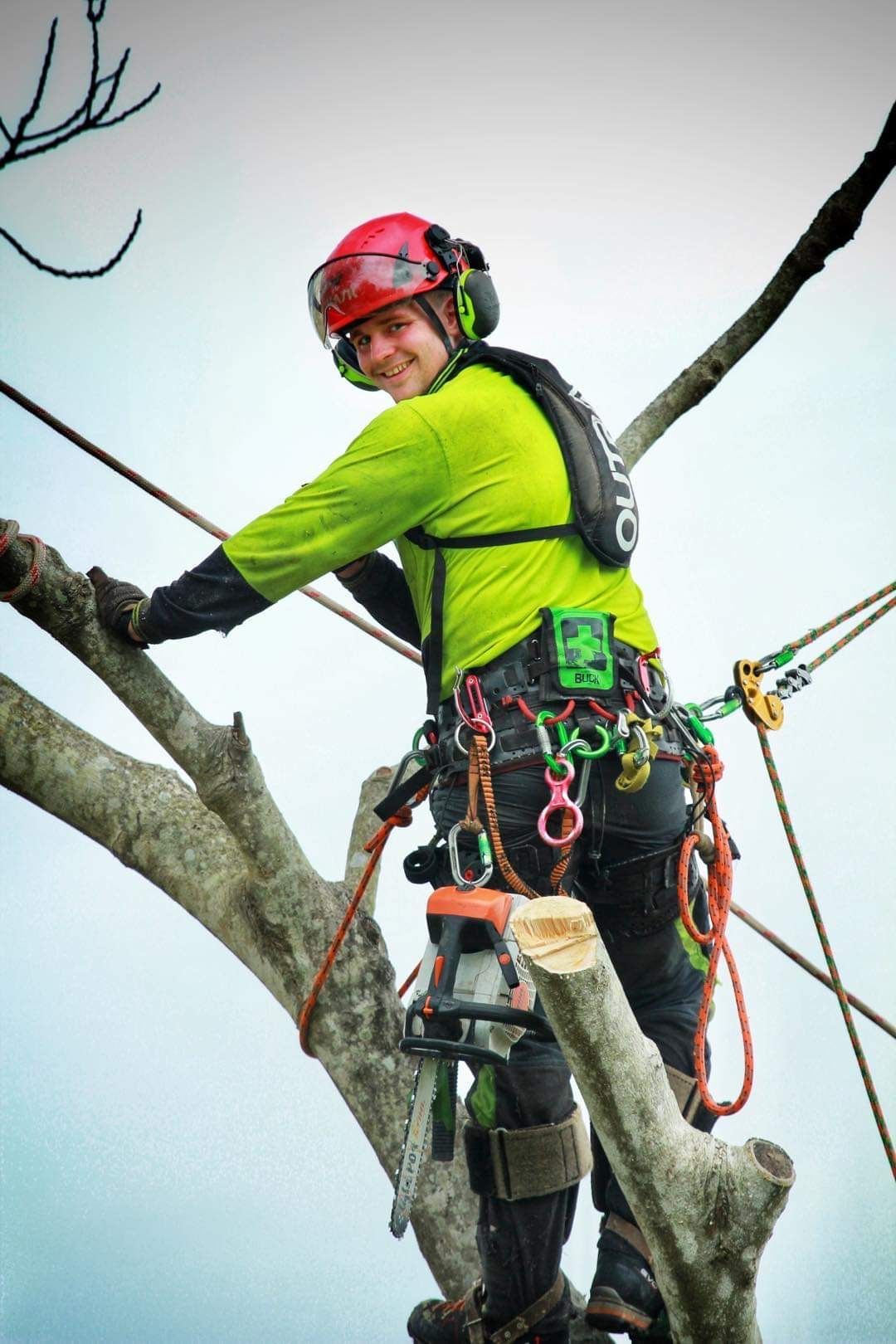 Understanding AS 4373—2007: Elevating Tree Pruning to Australian Standards
