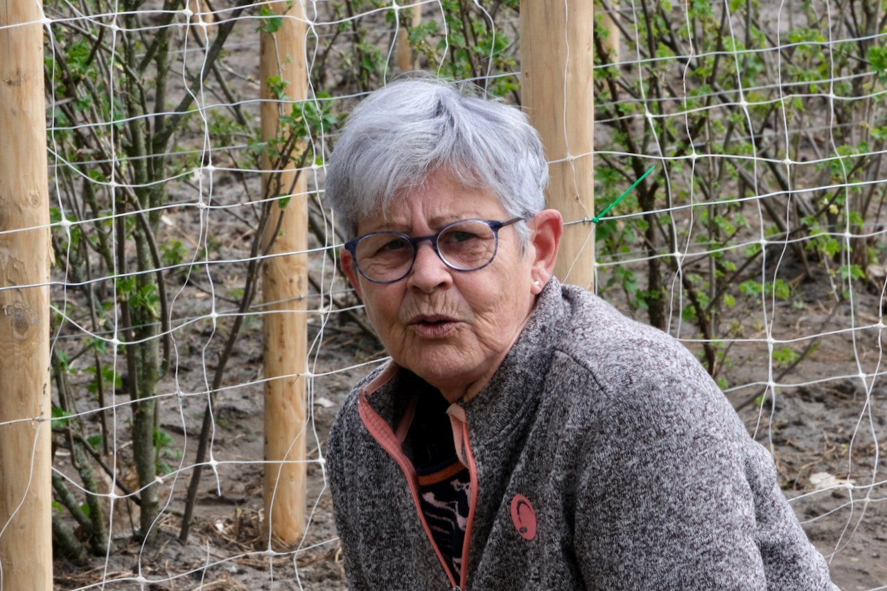 Sociale tuinderij de Scheve Schup want, Vers is lekkerder!