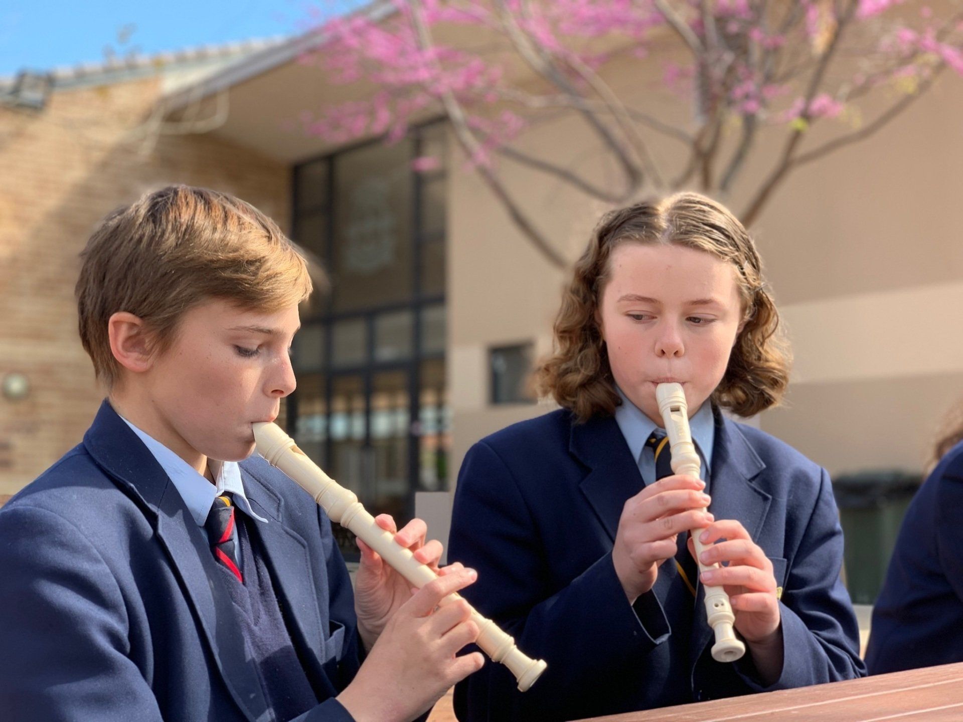 Kolbe Catholic College. Leaders in Catholic education