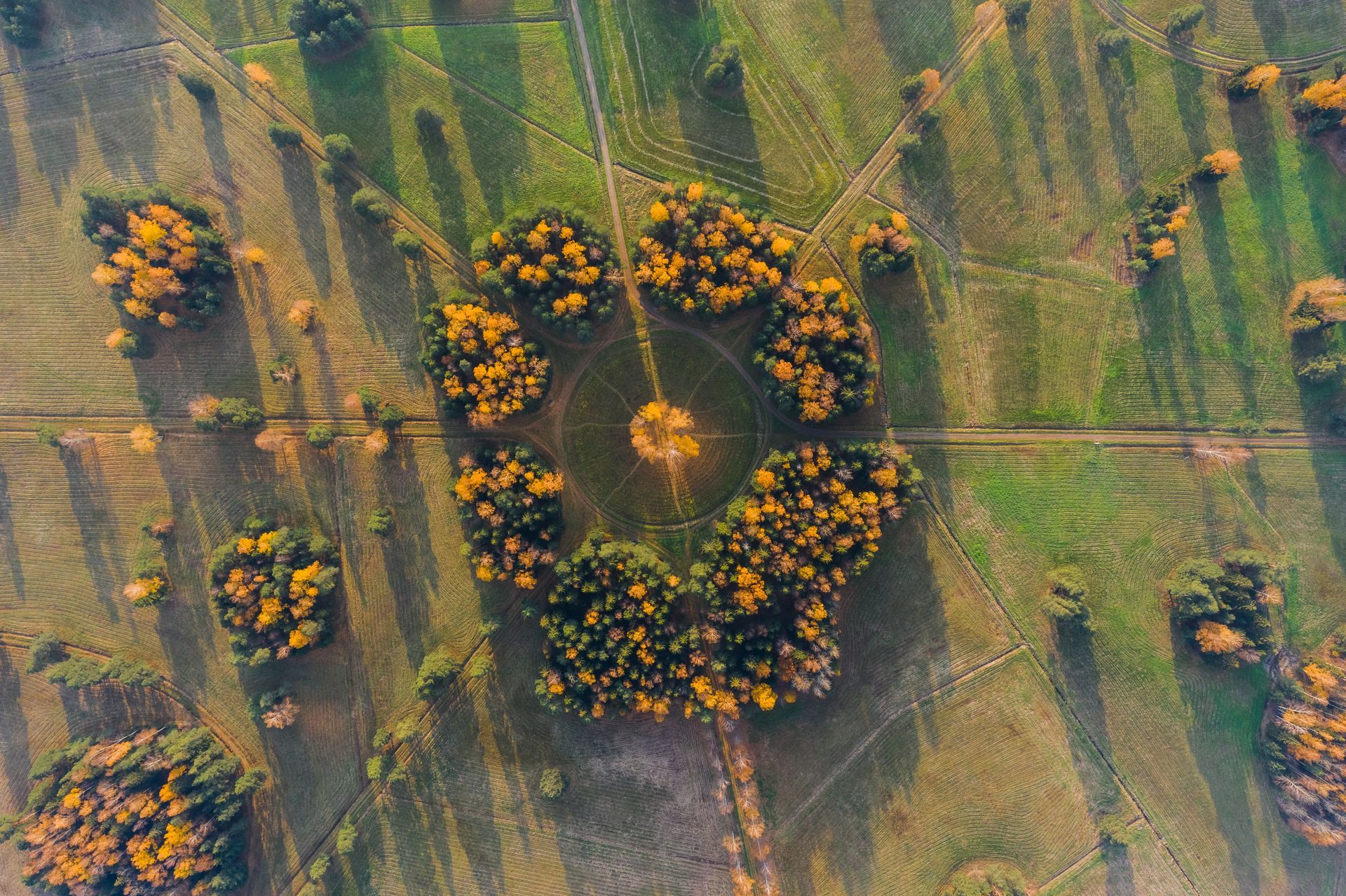 Mach49 - Perspectives