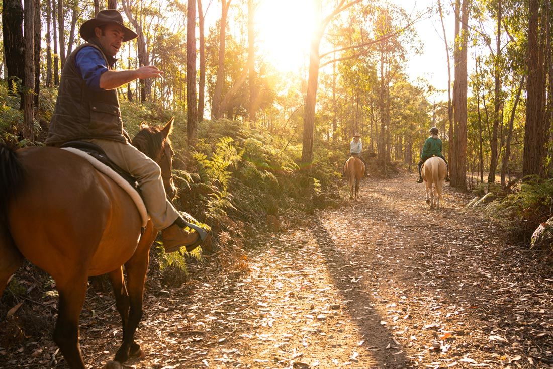 Australian Horse Adventures