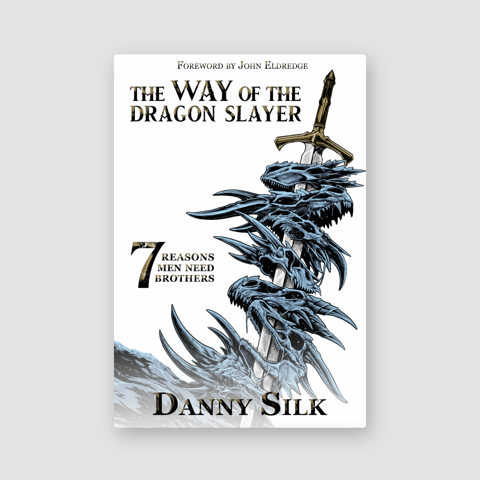 Dragon Slayers | New Book by Danny Silk