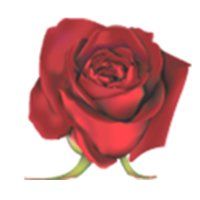 Attorney in Jackson County FL - Shanna Rose Law