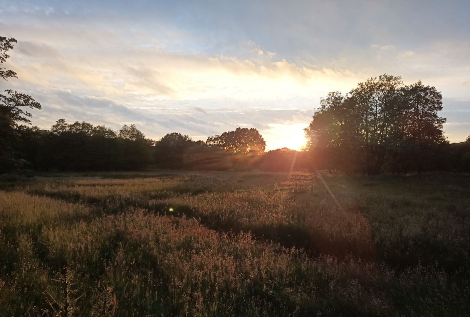 Huntingford Camping on the Banks of The River Wey