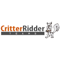 Animal Removal Experts | Critter Ridder