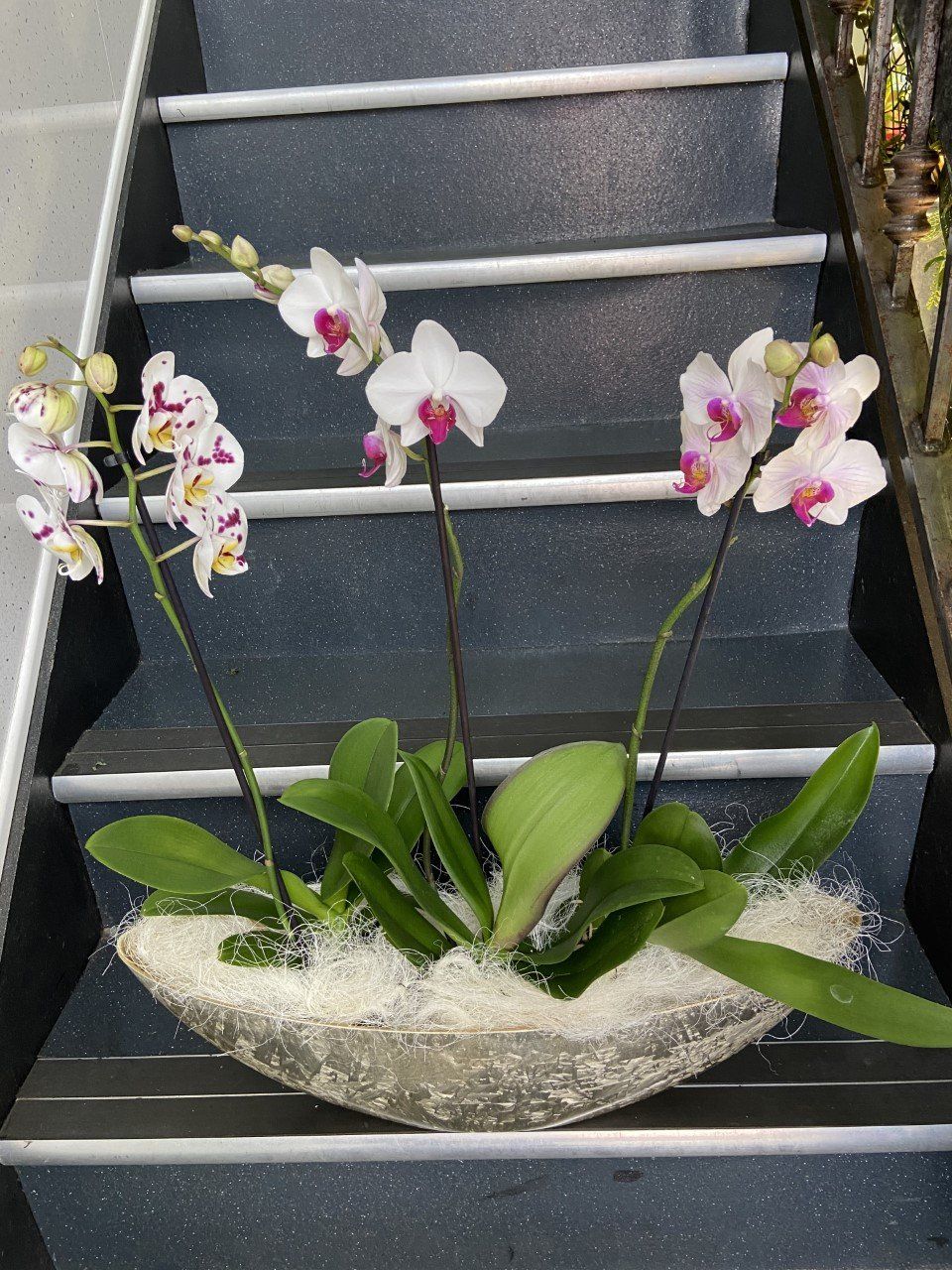 Office floral arrangements | Honors Flowers