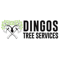 Contact | Dingo's Tree Services
