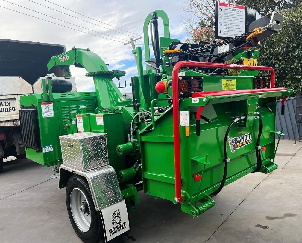 Tree Cutting Services in Woollongong | Dingo's Tree Services