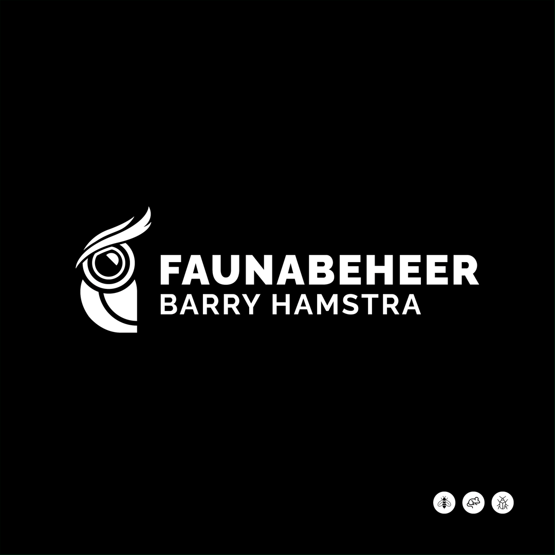 Wespen bestrijden | Faunabeheer Barry Hamstra | Ongediertebestrijding