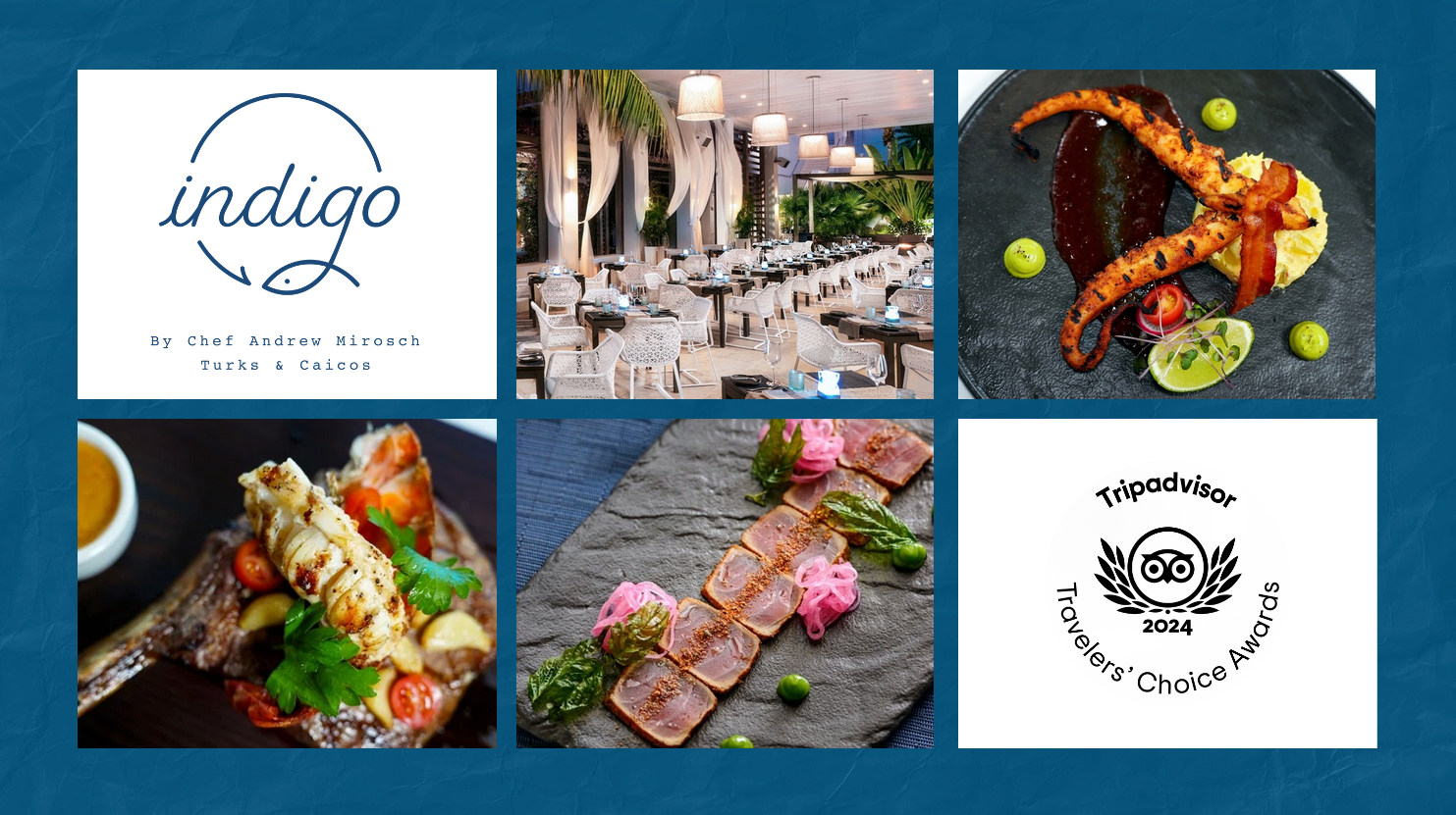 Indigo voted top 10% of Restaurants Worldwide by Trip Advisor ...