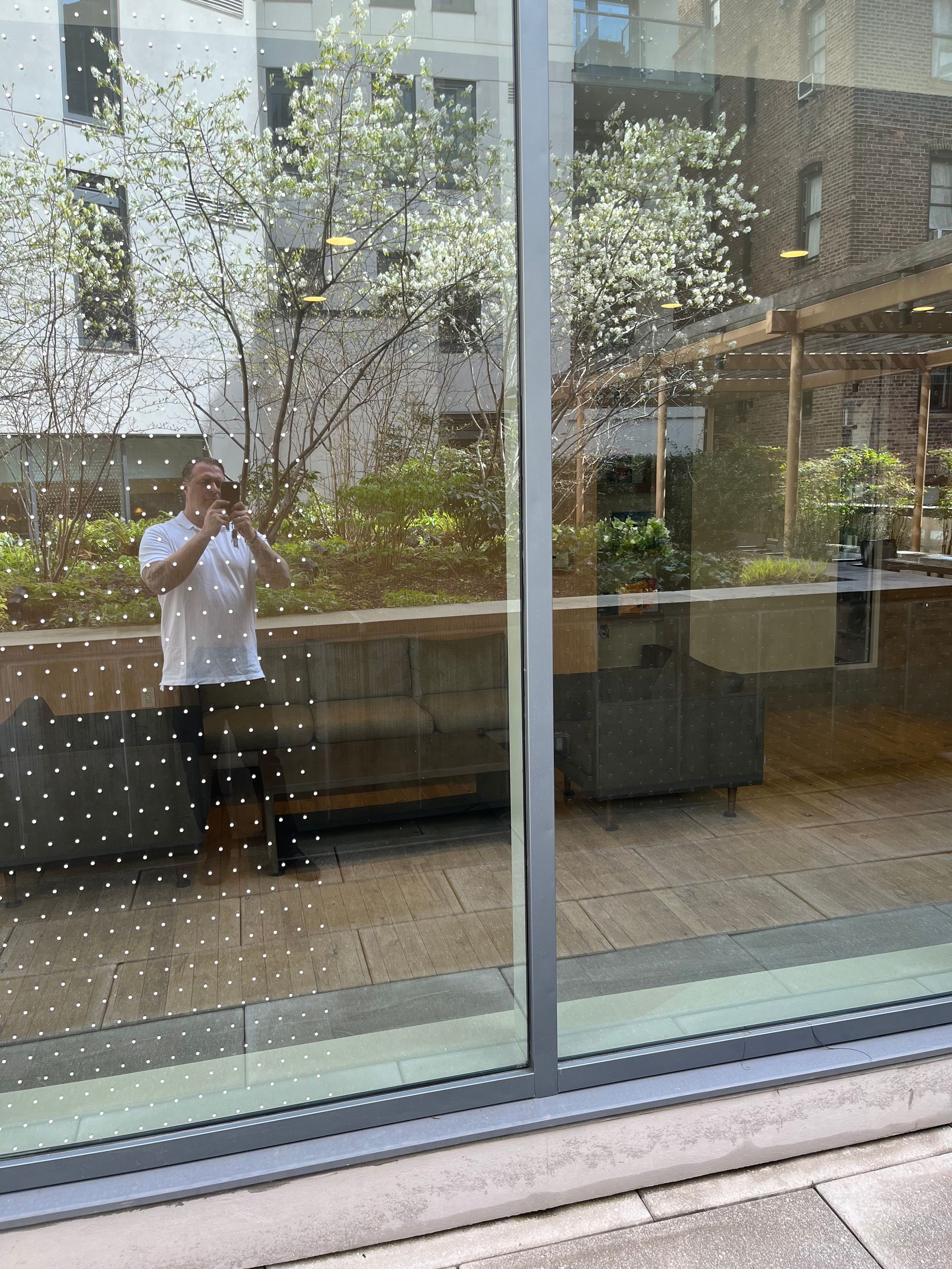 Bird Divert | Bound Brook, NJ | 917-609-4757