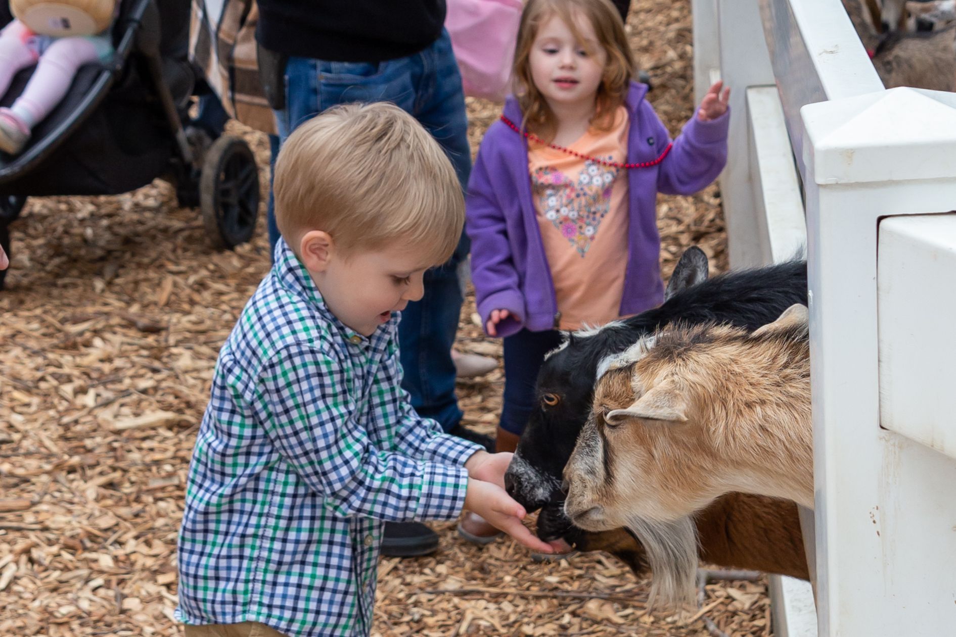 Easter Egg Hunt Virginia Beach, VA | Hunt Club Farm