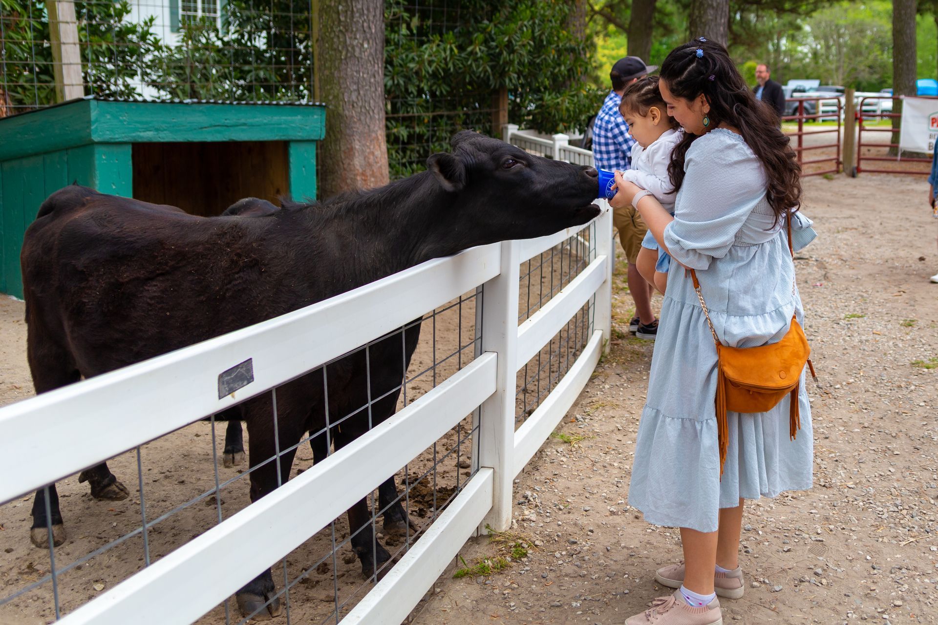 Easter Egg Hunt Virginia Beach, VA | Hunt Club Farm