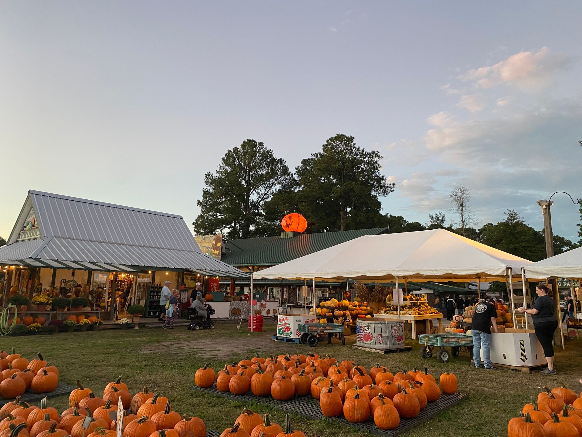Farm and Education Center Virginia Beach VA | Hunt Club Farm