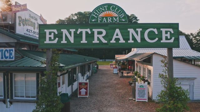 Are Dogs Allowed At Hunt Club Farm