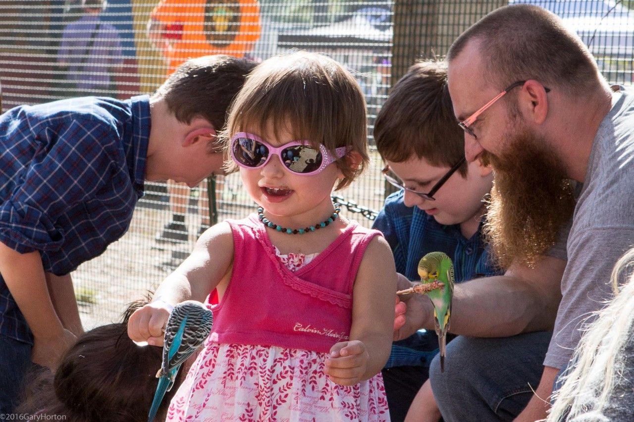 Petting Farm Virginia Beach, VA | Hunt Club Farm