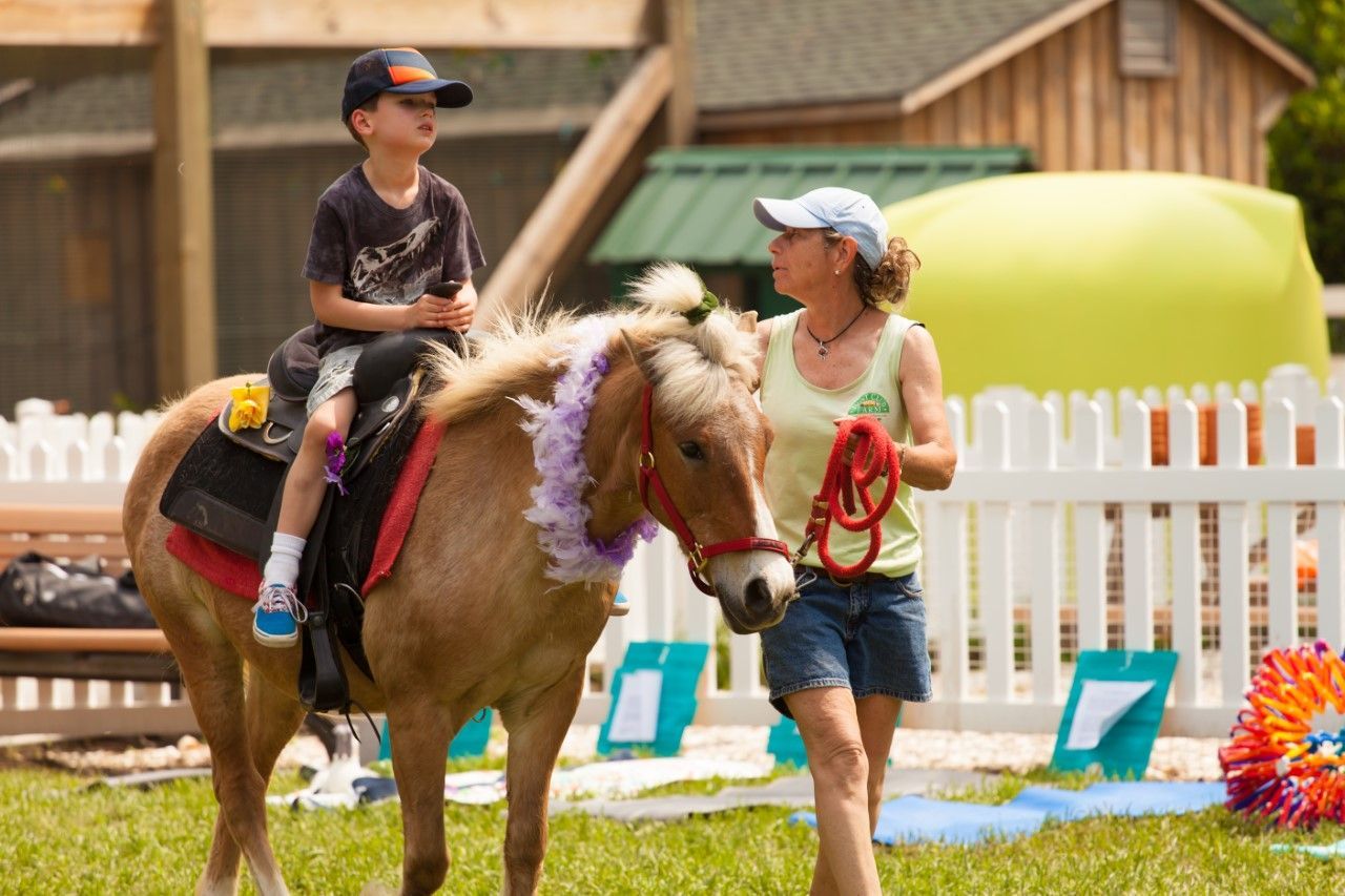 Petting Farm Virginia Beach, VA | Hunt Club Farm