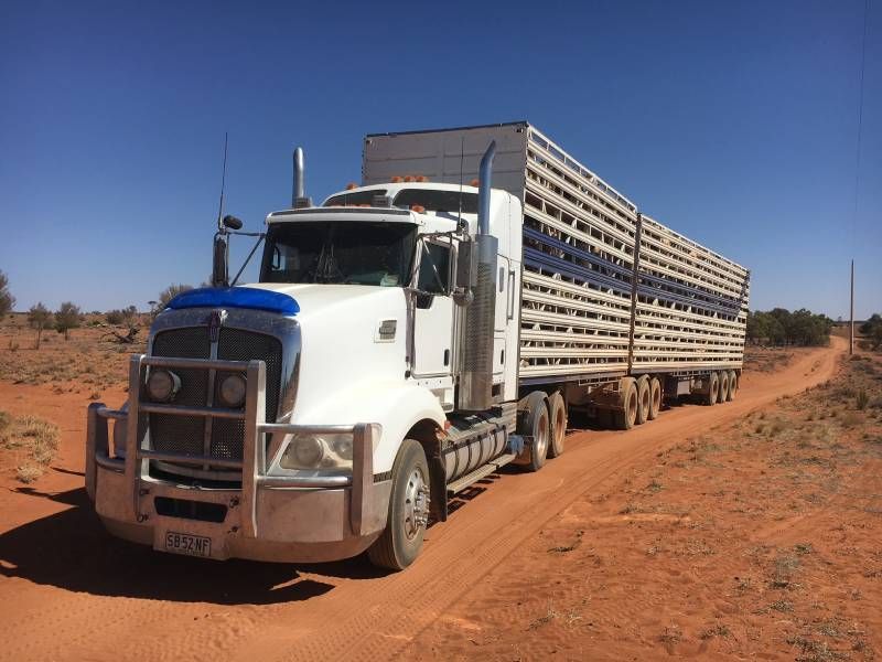 Our Diverse Range of Quality Meats in South Australia
