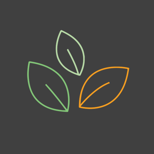 PERSONALISED PROGRAM | Sowell Formula