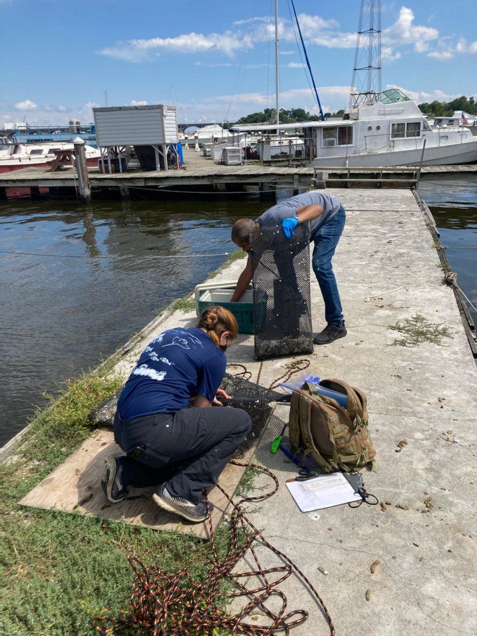 Environmental Science Initiatives at EJJI | Baltimore