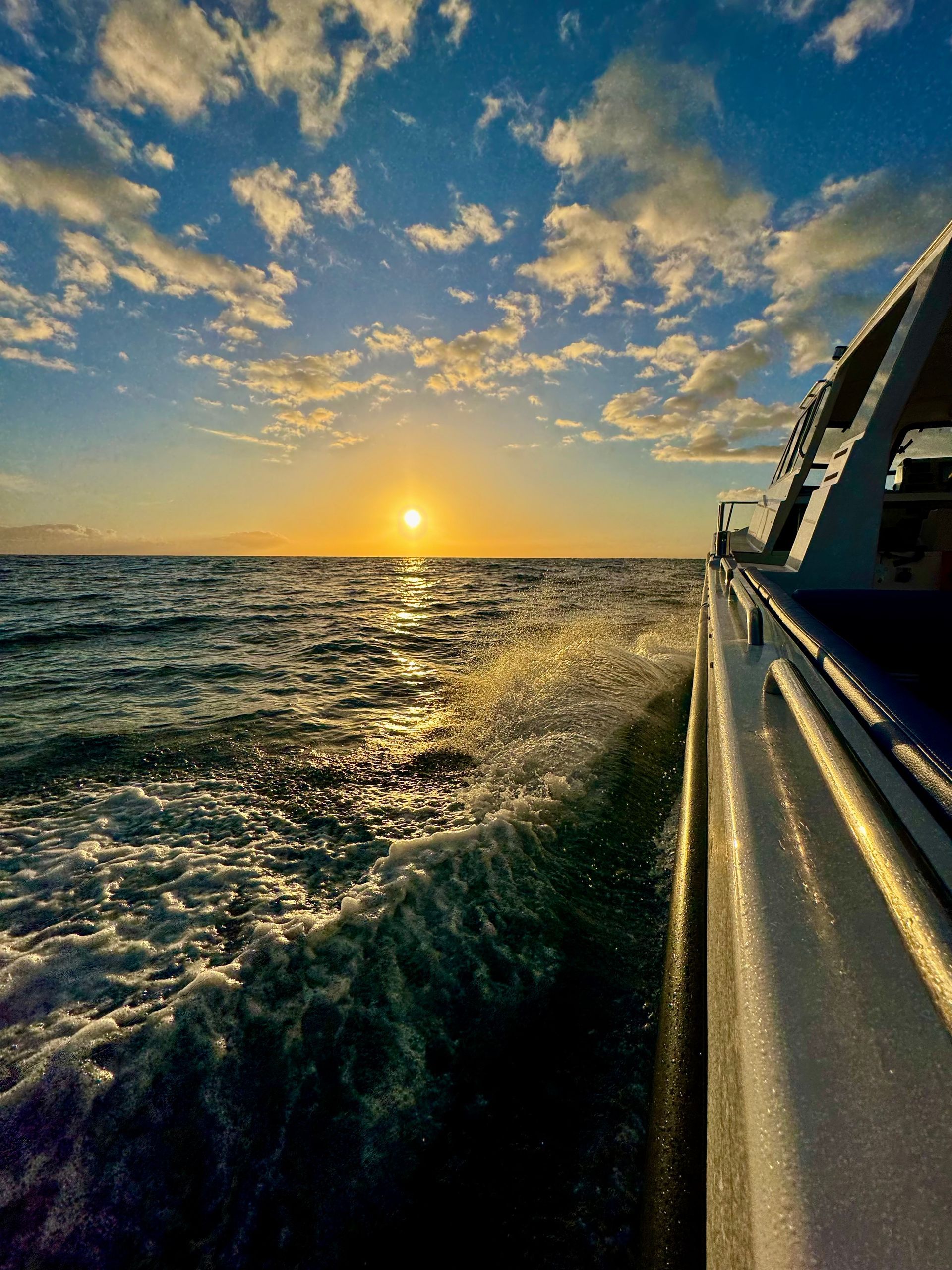 SeaYou Madeira - Boat Tours in Madeira