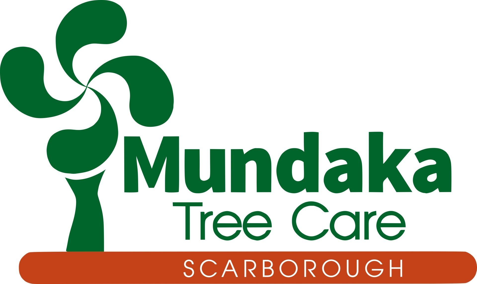 Mundaka tree care. Arborists based in Scarborough