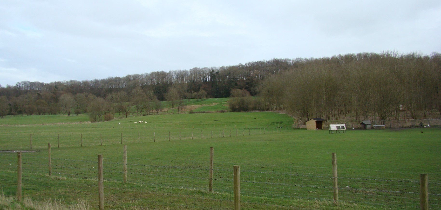 Dave and Ewe - Therapeutic farm experiences in Calne, Wiltshire