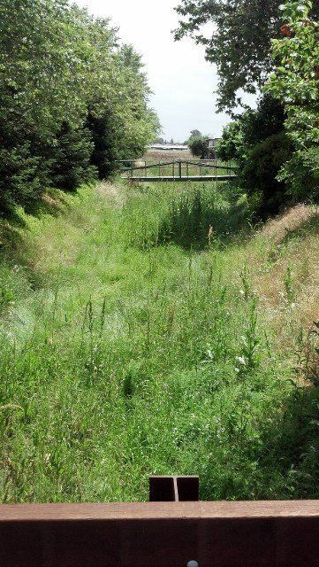 Rates | Maple Leaf RV Park