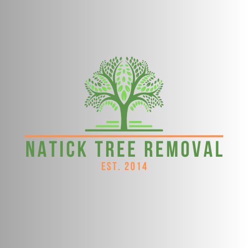 Natick Tree Removal | Tree Service | (508) 794-8889