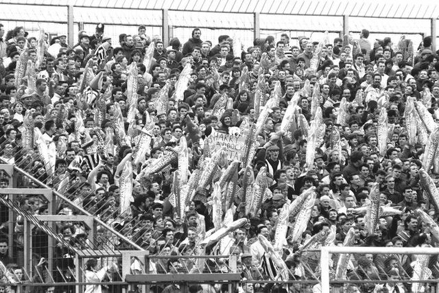 Fishy Forum Topic: "Bring Your Harry"