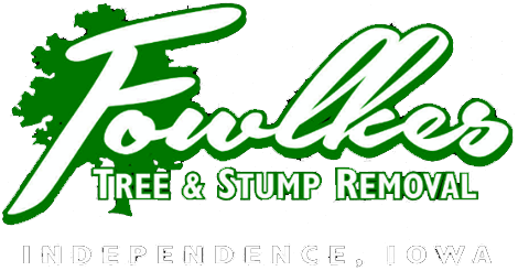 Tree Services in Cedar Falls | Fowlkes Tree & Stump Removal