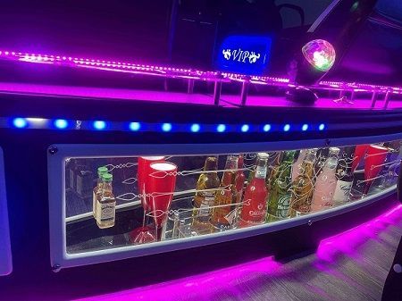 Party Bus Hire Sydney: Photos | Let's Party BUs
