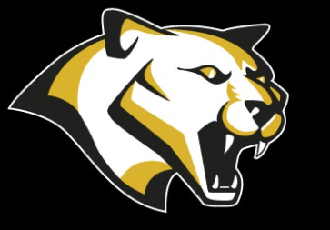 Play Baseball on The Gold Coast