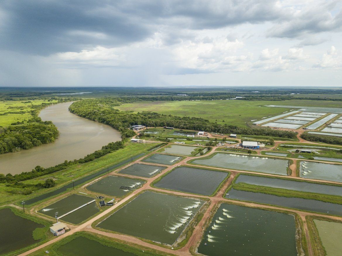 The Digital Evolution of Humpty Doo Barramundi