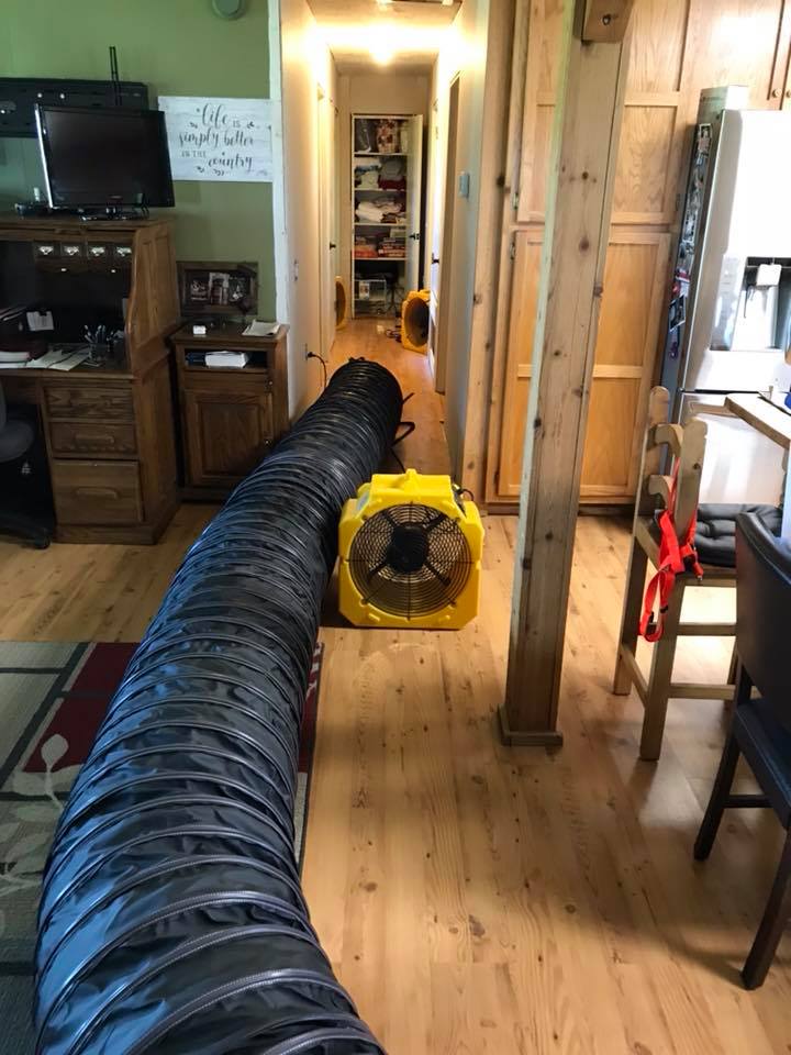 Pest & Termite Control | Comanche, TX | Akin Pest Control & Lawn Care