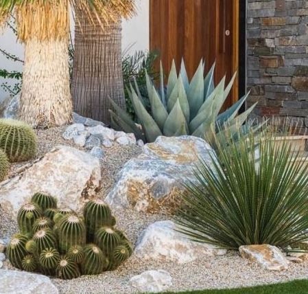 Phoenix Landscaping Company | Landscapers | (520) 436-9839