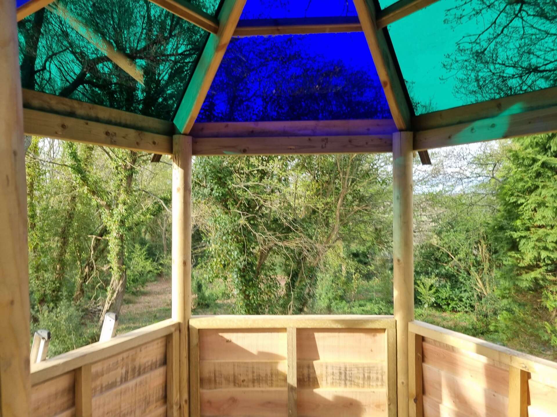 School Treehouse Concept | Curved Earth