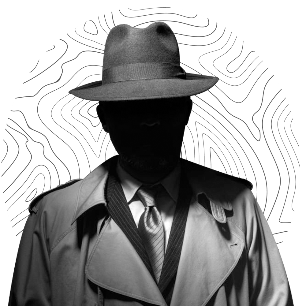 Private Investigator Hire The Leading Private Detective