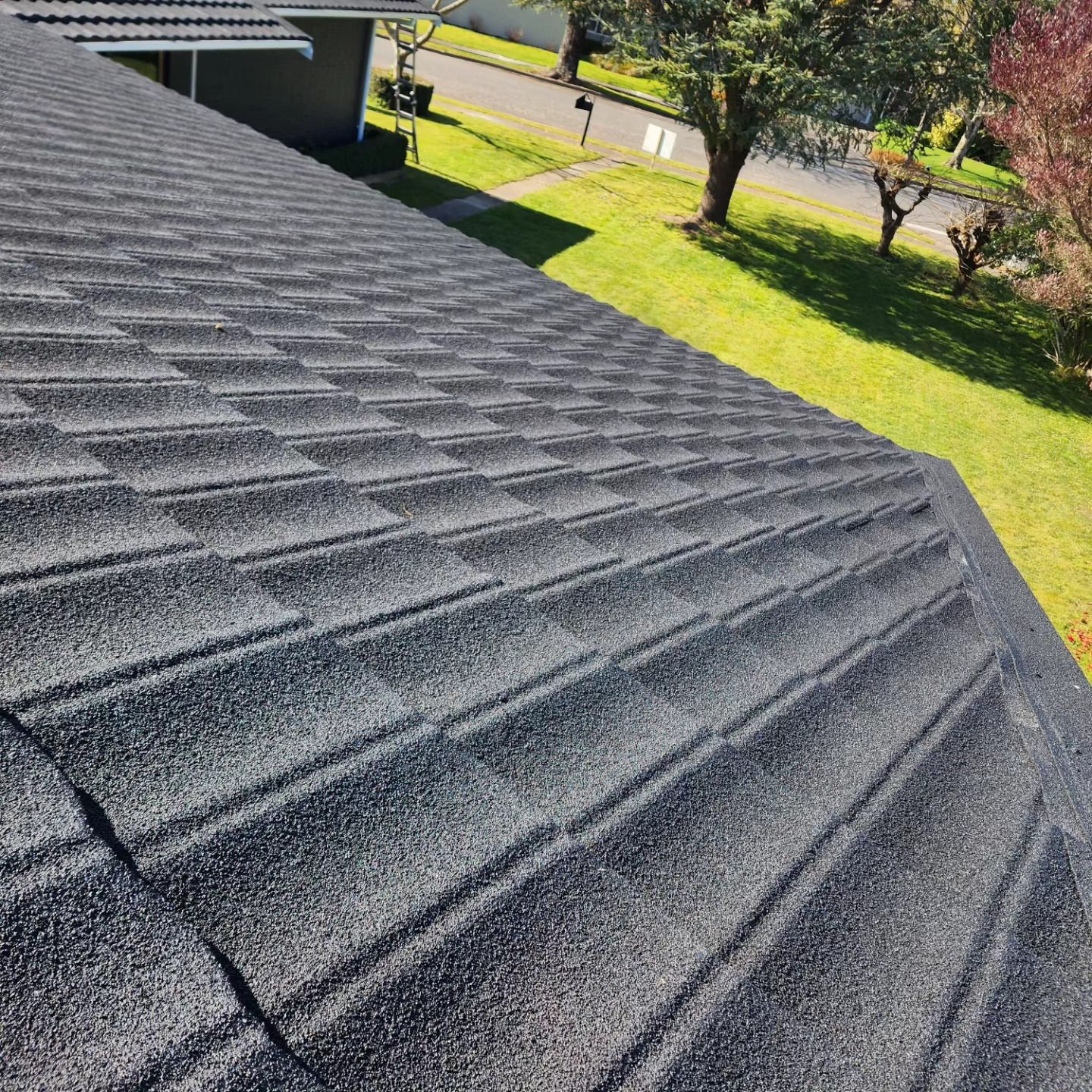 Flex Roofing Limited