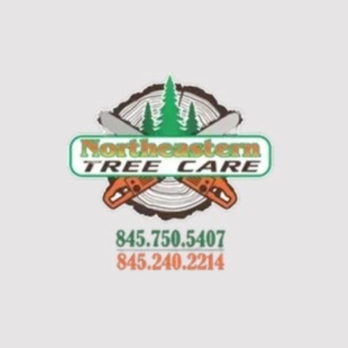 Tree Gallery | Northeastern Tree Care | Staatsburg, NY